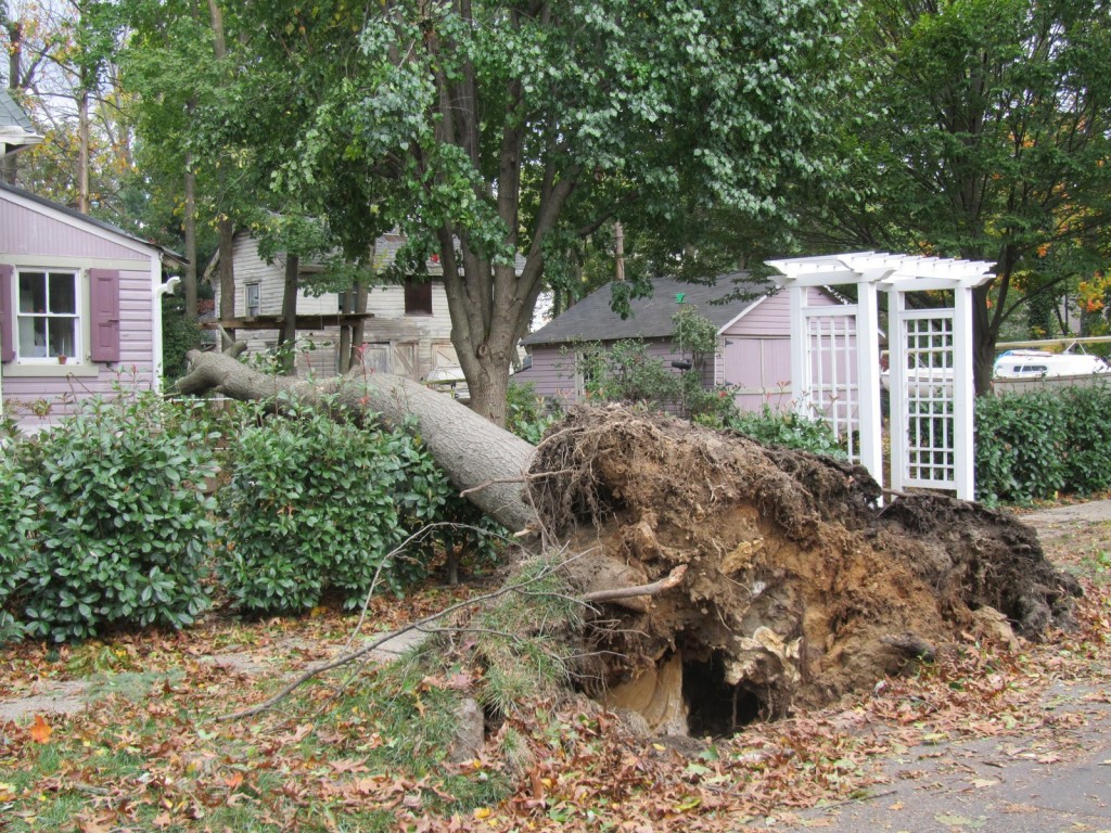 November 2012 – Historical Society of Riverton