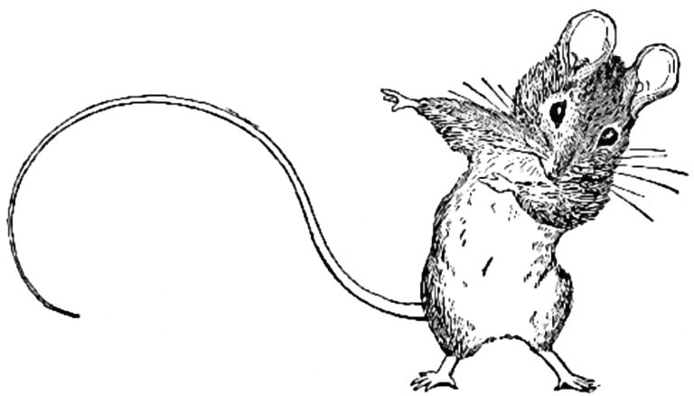 Historical Society of Riverton, NJ – Page 20